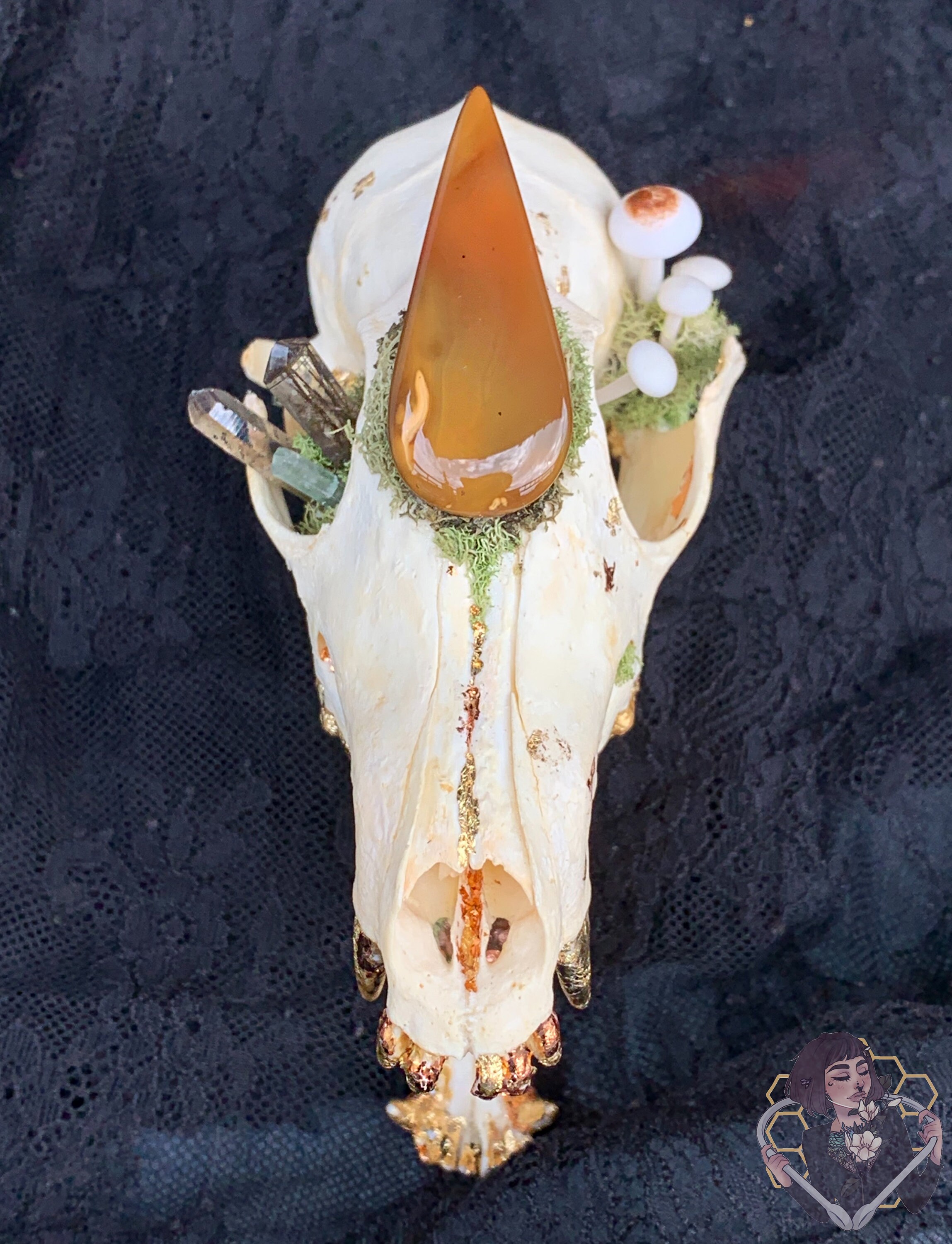 Red Fox Skull - Etsy