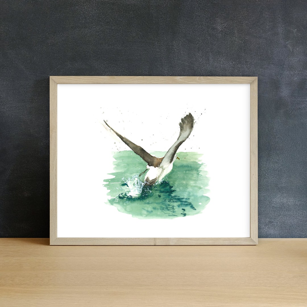 Watercolour Painting - Albatross - Poster - Wall Art Print - Etsy