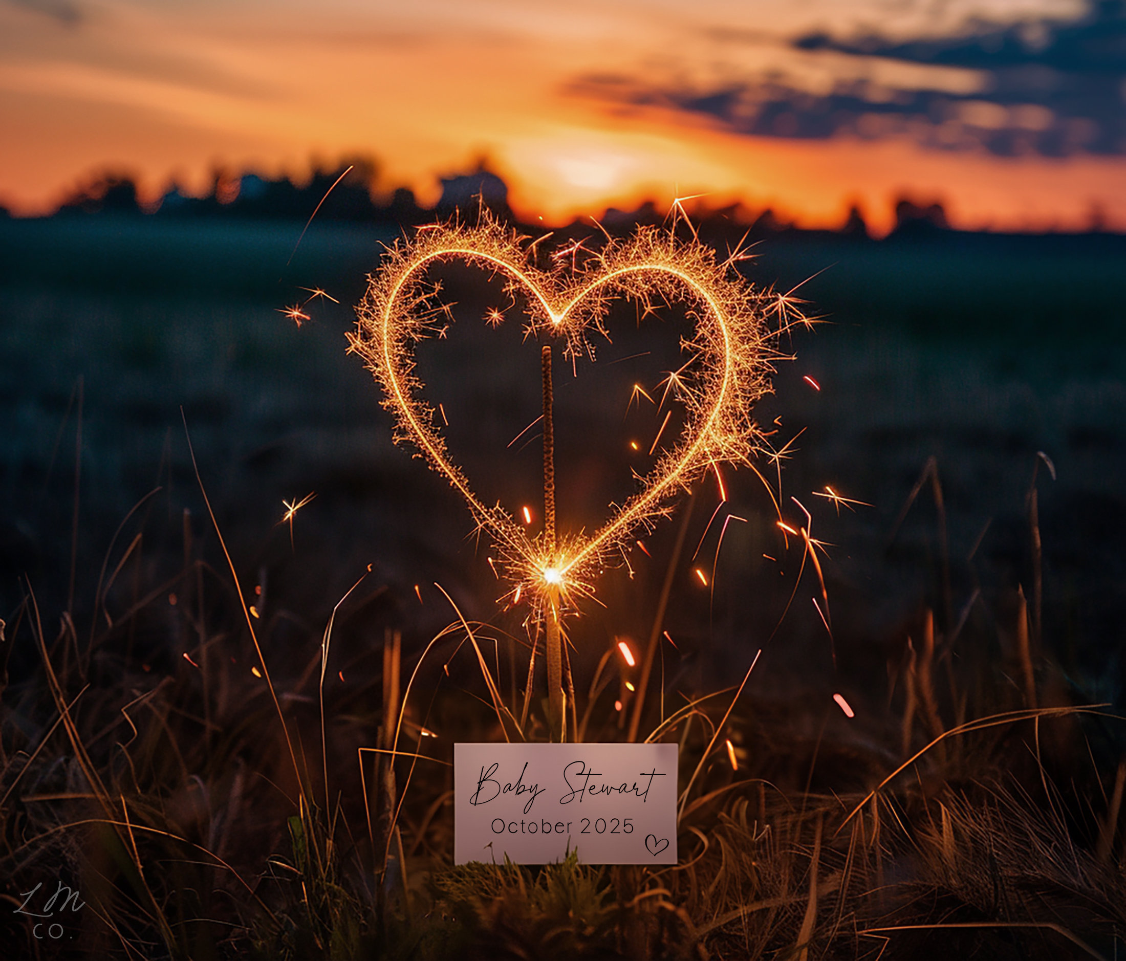 4th of July Pregnancy Announcement Digital, Summer Announcement ...