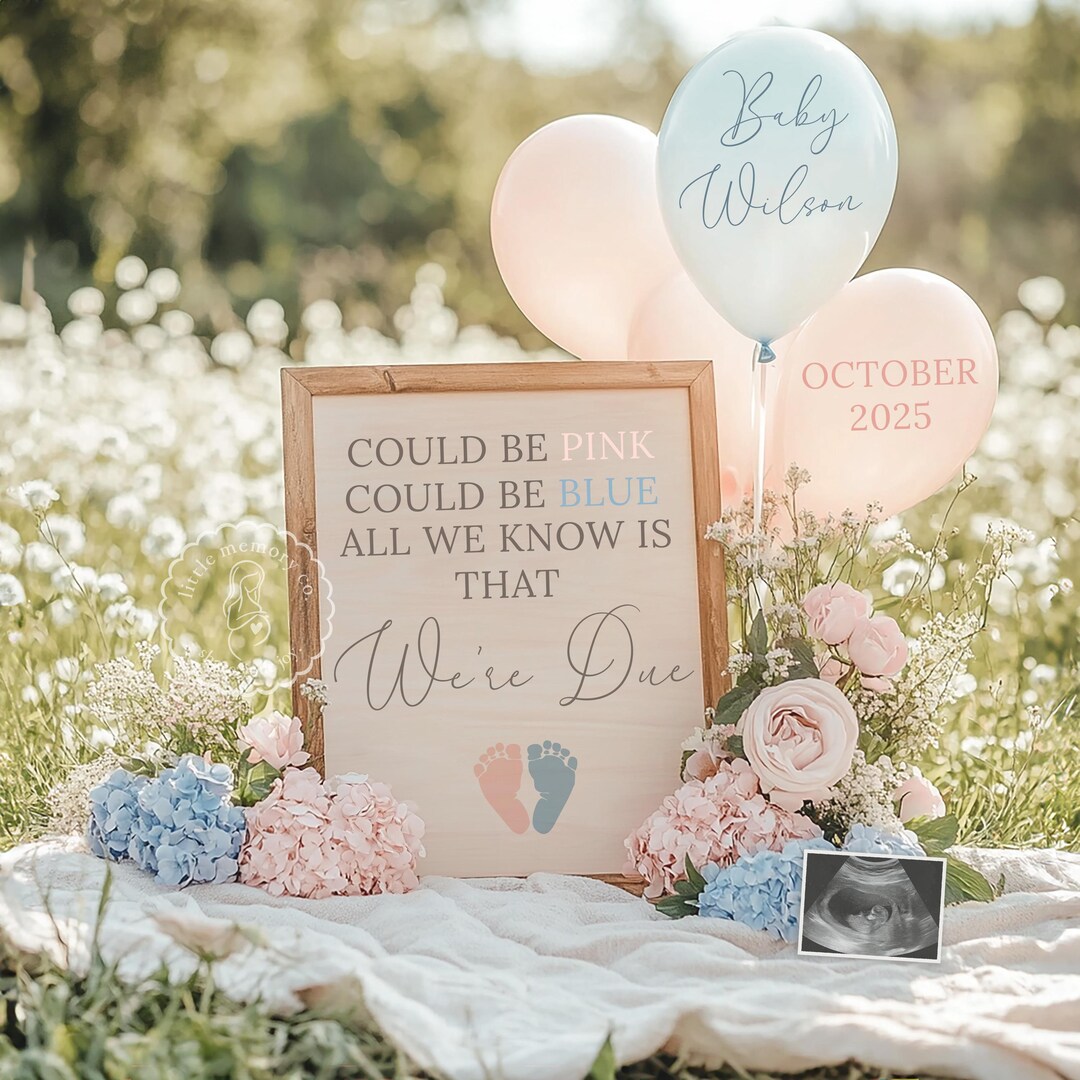 Neutral Pregnancy Announcement Digital, Could Be Pink Could Be Blue ...