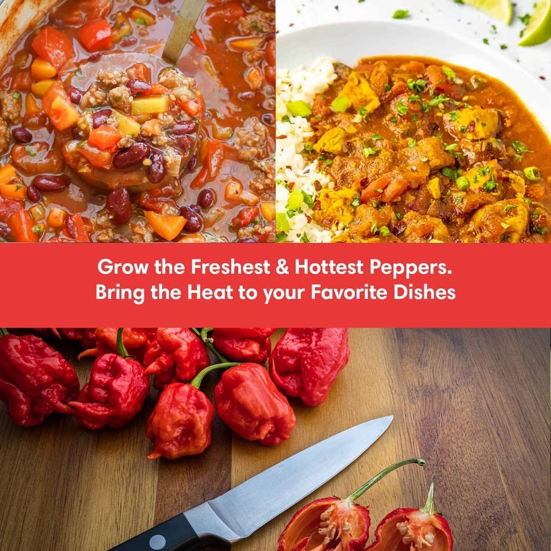 Carolina Reaper and Ghost Pepper Chili Grow Kit All in One - Etsy