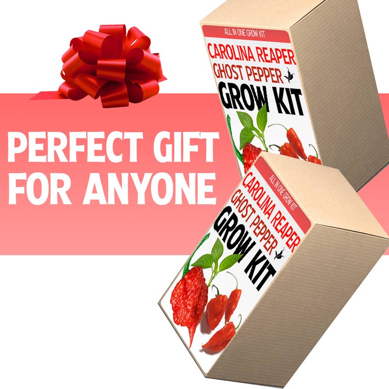 Carolina Reaper and Ghost Pepper Chili Grow Kit All in One | Etsy