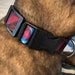 Multi Colored Dog Collar With Black Snap Buckle Hardware, Well Made, 1 ...