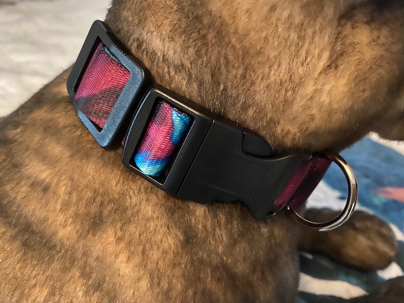 Multi Colored Dog Collar With Black Snap Buckle Hardware, Well Made, 1 ...