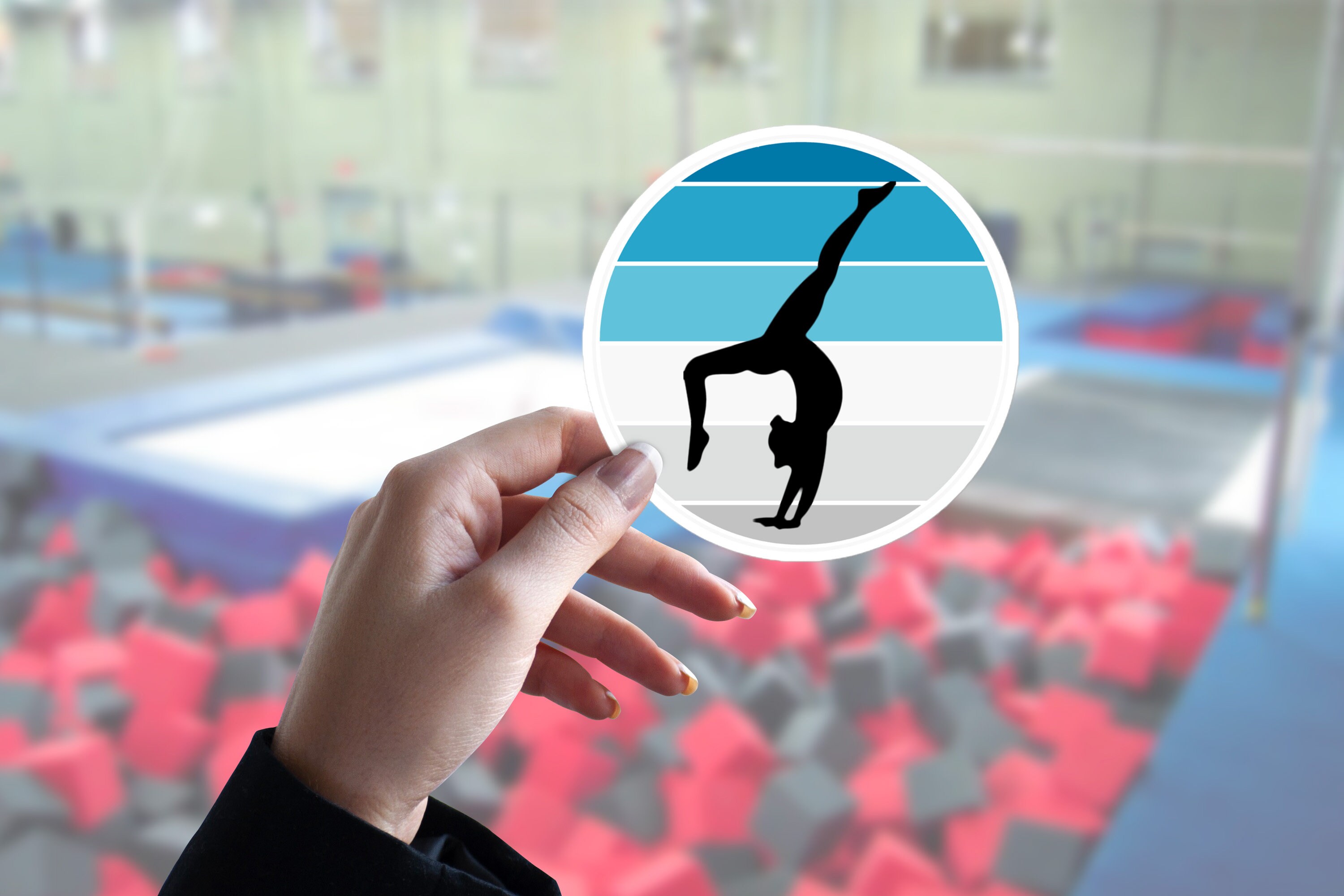 Gymnastics Sticker, Gymnastics Gifts, Birthday Gift, Teenage Girl Gifts ...
