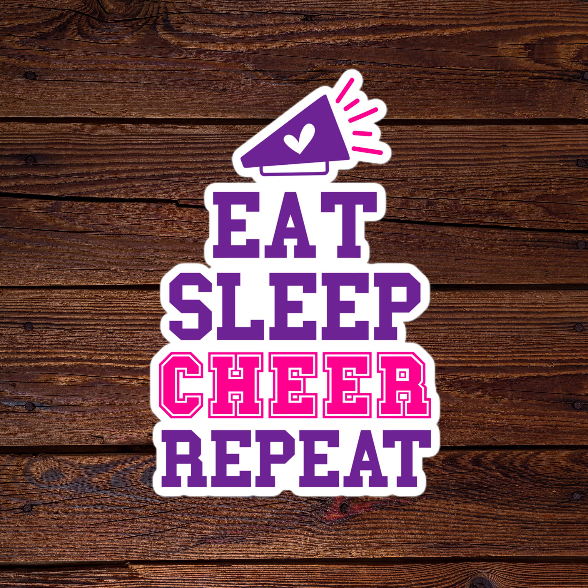 Cheer Stickers, Planner Stickers, Birthday Gift, Cheer Gifts, Best ...