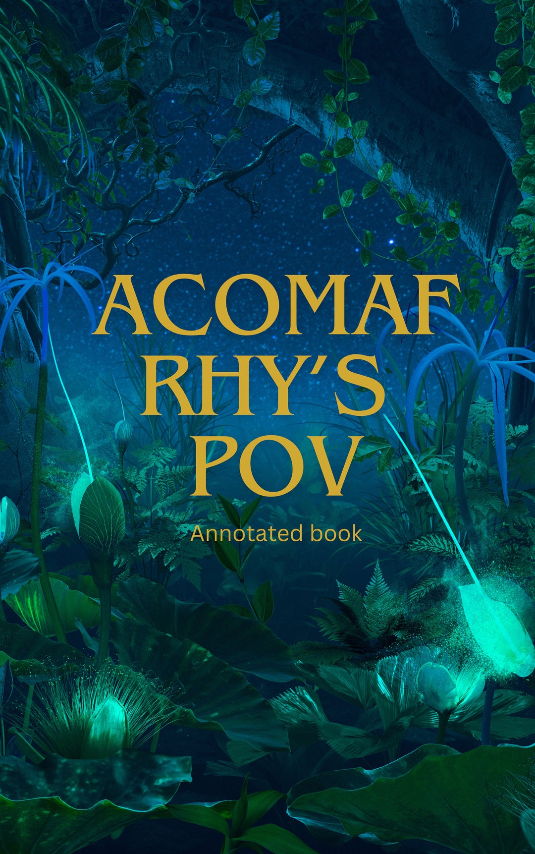 ACOMAF Rhys' POV Annotated Book Box - Etsy
