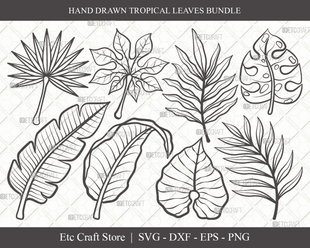 Tropical Leaf Outline SVG Cut Files | Tropical Leaves Svg | Monstera ...