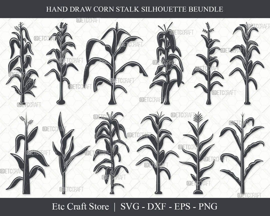 Corn Stalk SVG, Corn Stalk Silhouette, Corn Tree Svg, Corn Svg, Corn ...