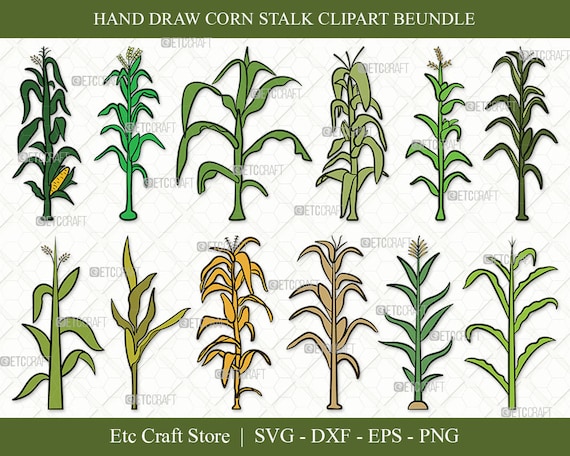 Corn Stalk SVG Corn Stalk Clipart Corn Tree Svg Corn Svg - Etsy