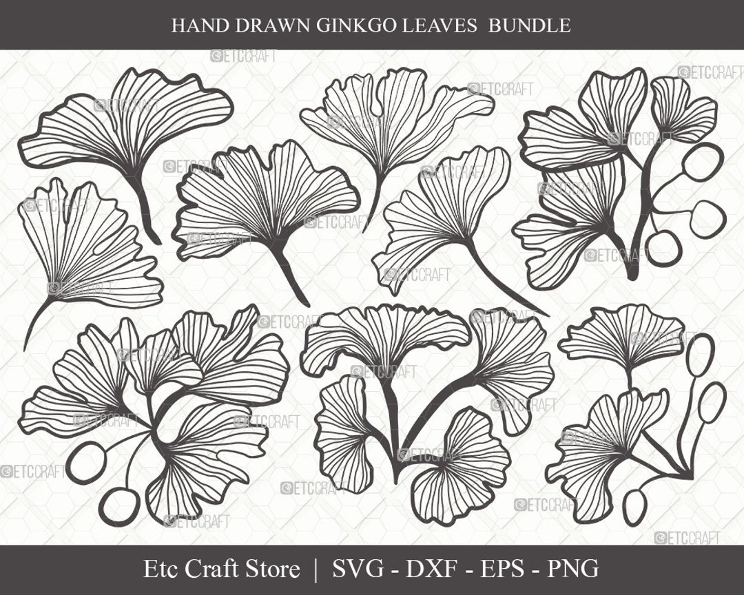 Ginkgo Leaves Outline SVG Cut File | Ginkgo Leaf Svg | Ginko Biloba Svg ...