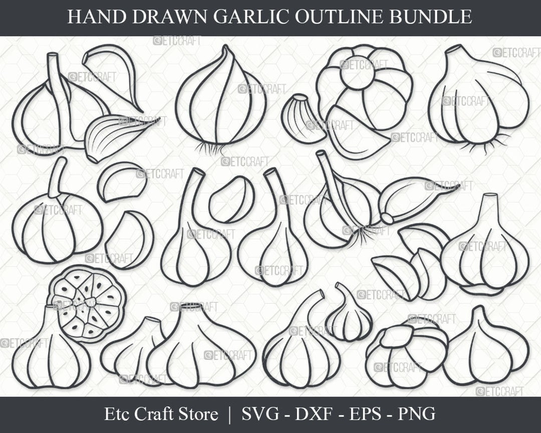 Garlic Outline, Garlic Clove Svg, Garlic Cricut Svg, Cool Garlic Svg ...