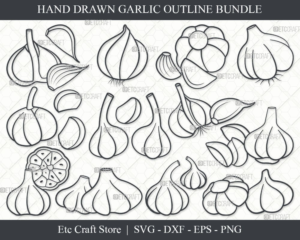 Garlic Outline