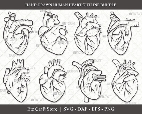 Real Heart Outline Png