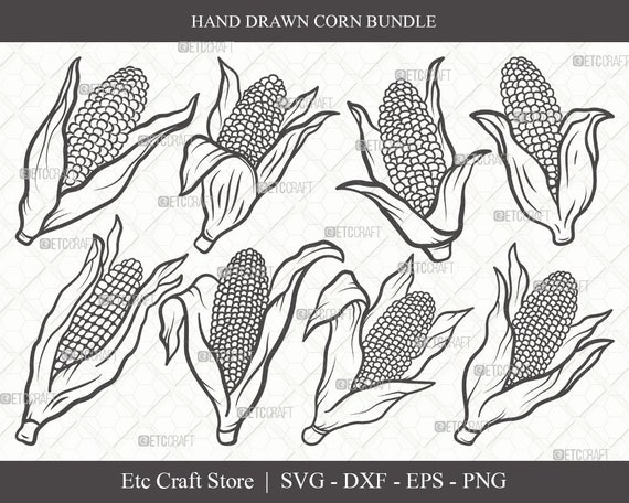 Corn Outline SVG Cut File Maize Svg cob Svg Fruit Svg - Etsy