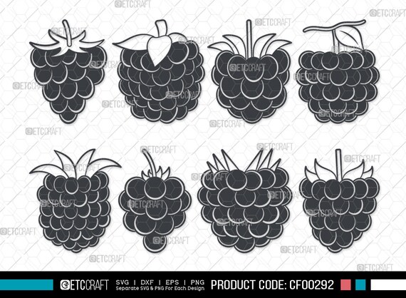 Raspberry Silhouette