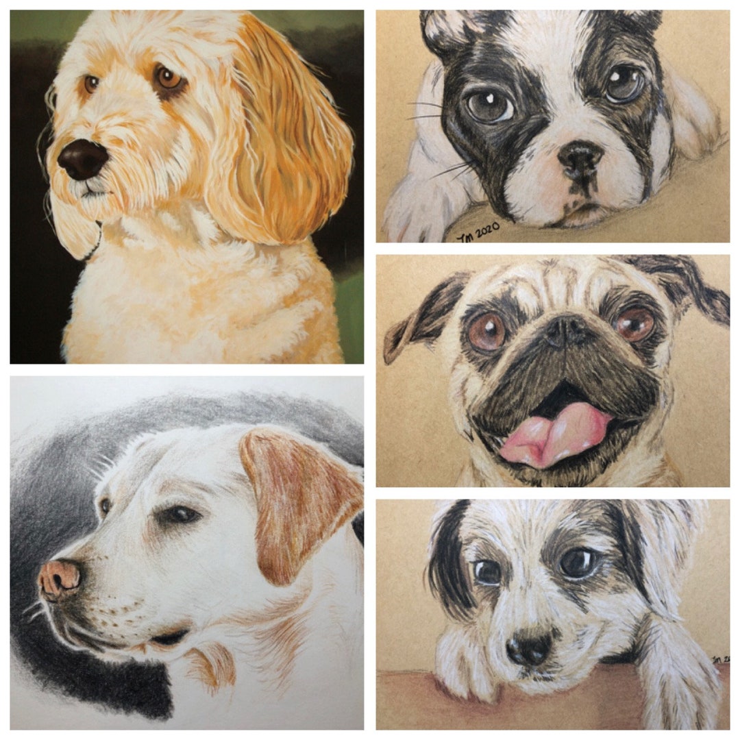 Custom Hand Painted Pet Portrait - Etsy