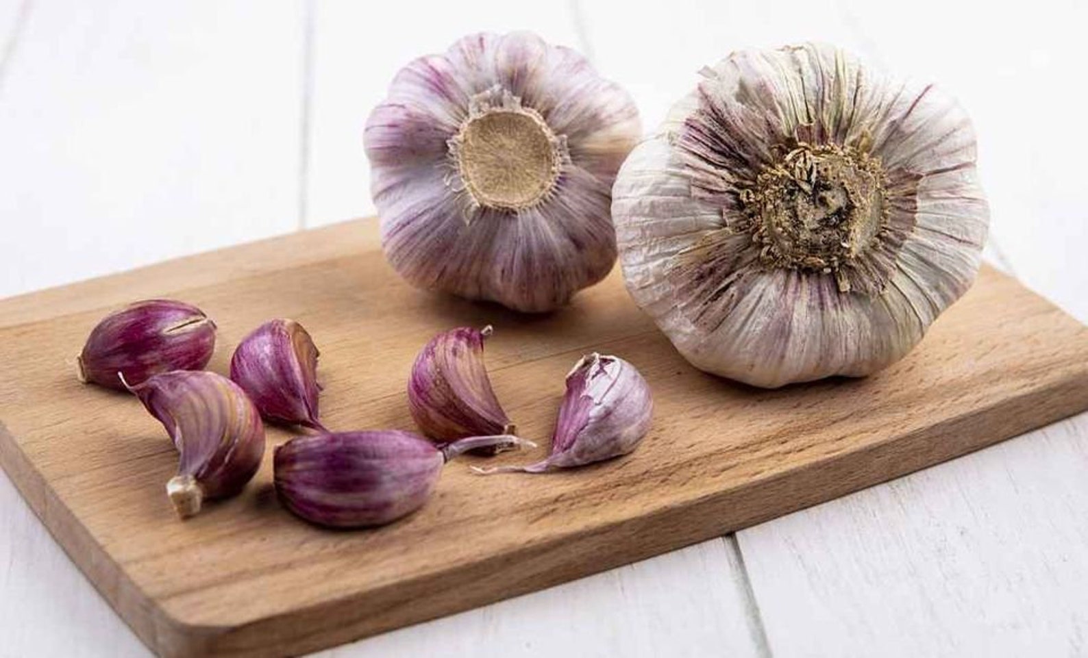 Garlic Purple Skin Fresh Garlic - Etsy