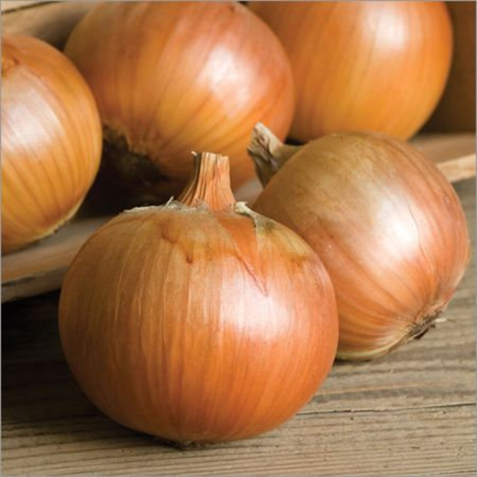 Yellow Onions Actual Produce 5 Lbs. Box - Etsy