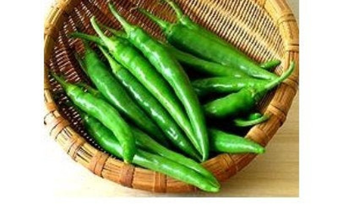 Green Finger Hot Chile Pepper 12 Oz - Etsy