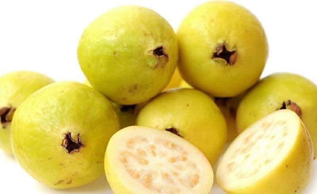 Mexican Cream Guavas Fresh Fruit 4 Lbs. - Etsy