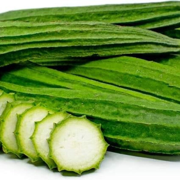 Vegetable Plants Live - Etsy