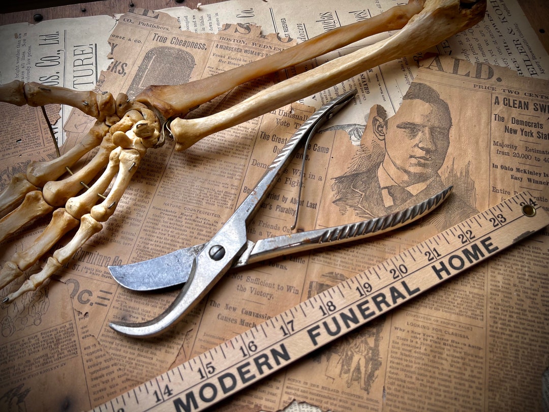 Vintage Autopsy Bone Shears - Etsy