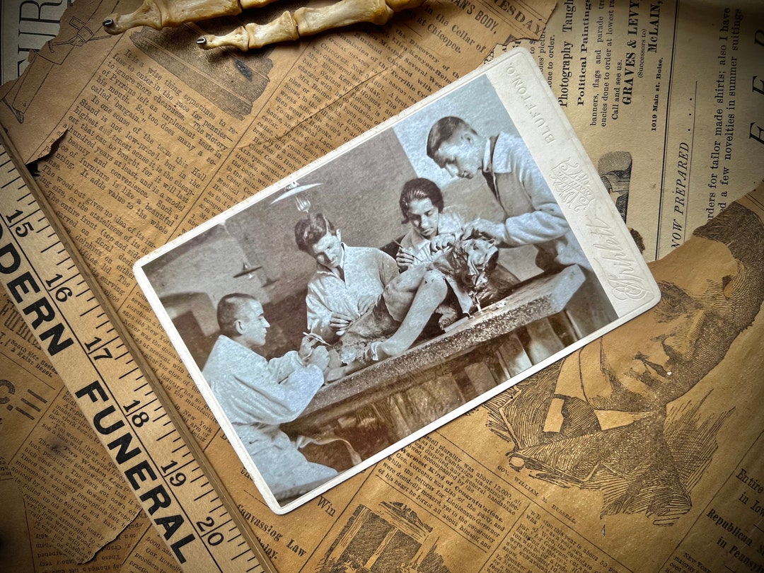 Victorian Human Dissection Cabinet Card Photograph - Etsy