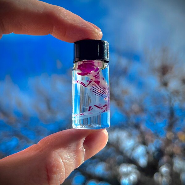 Diaphonization - Etsy