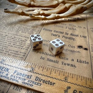 Authentic Bone Dice Water Buffalo Dnd Dungeons and Dragons - Etsy
