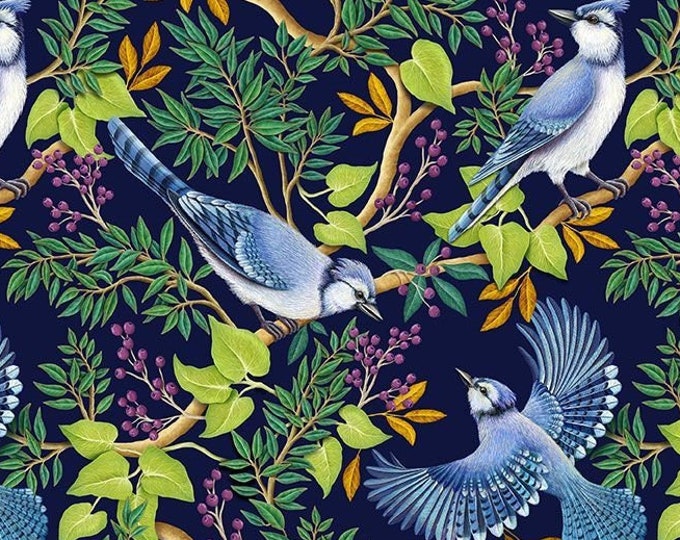 Blue Jay Fabric Blue Jay by Elena Naylor Woodland Blue Jay Bird Modern ...