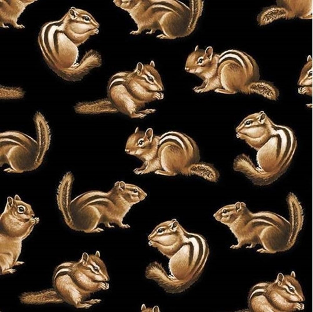 Chipmunk Fabric / 100% Quilting Cotton / Backyard Wildlife C1176 Black ...