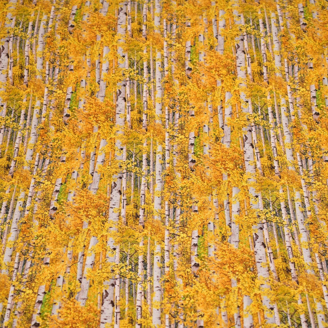 Birch Trees Fabric: Gold Fall Landscape, Quilting Cotton, by Elizabeth ...