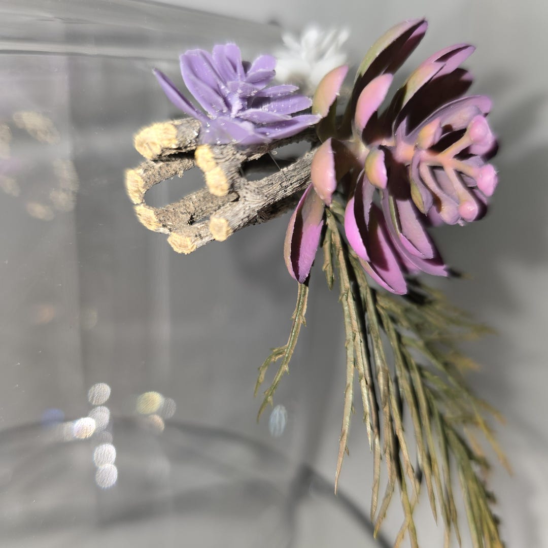 Rustic Bloom Magnetic Spider Hide With Succulents Natural Cholla Wood ...