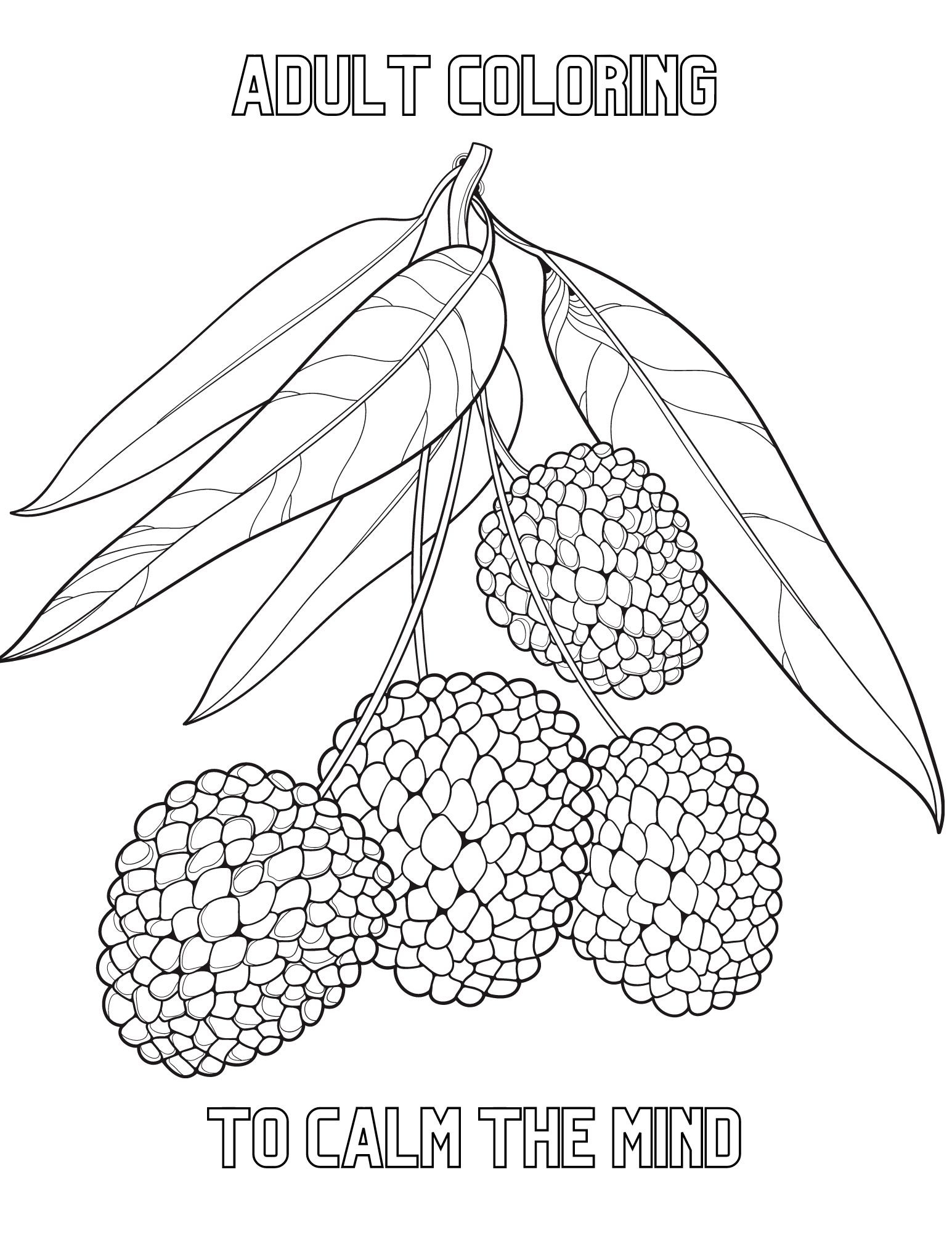Adult Fruit/veggie Coloring Pages - Etsy