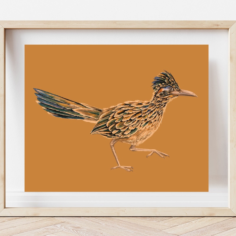 Roadrunner - Etsy