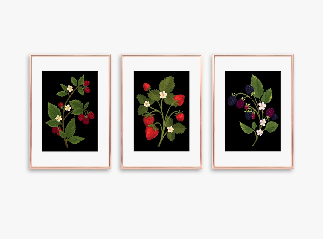 Vintage Floral Berry Art Print Set of 3, Mini Art Prints, Botanical ...