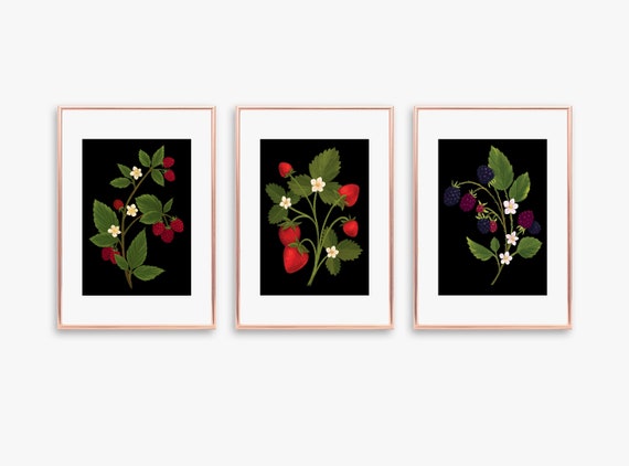Vintage Floral Berry Art Print Set of 3 Mini Art Prints | Etsy