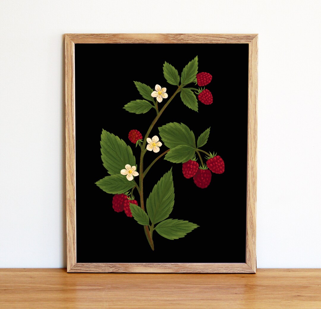Raspberry Wall Art, Berry Home Decor, Vintage Floral Art Print ...