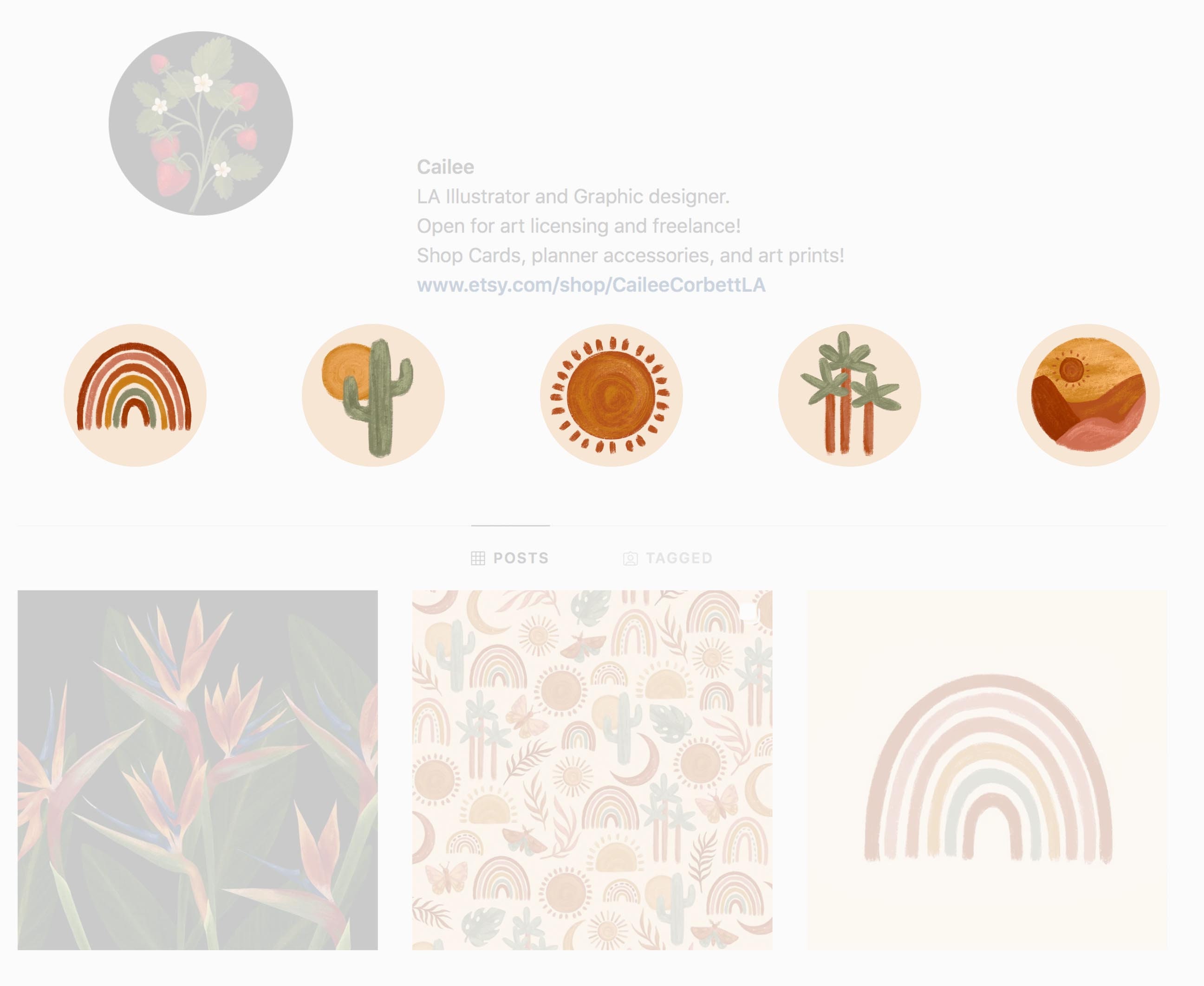 Instagram Story Highlight Boho Highlight Covers Desert Boho | Etsy