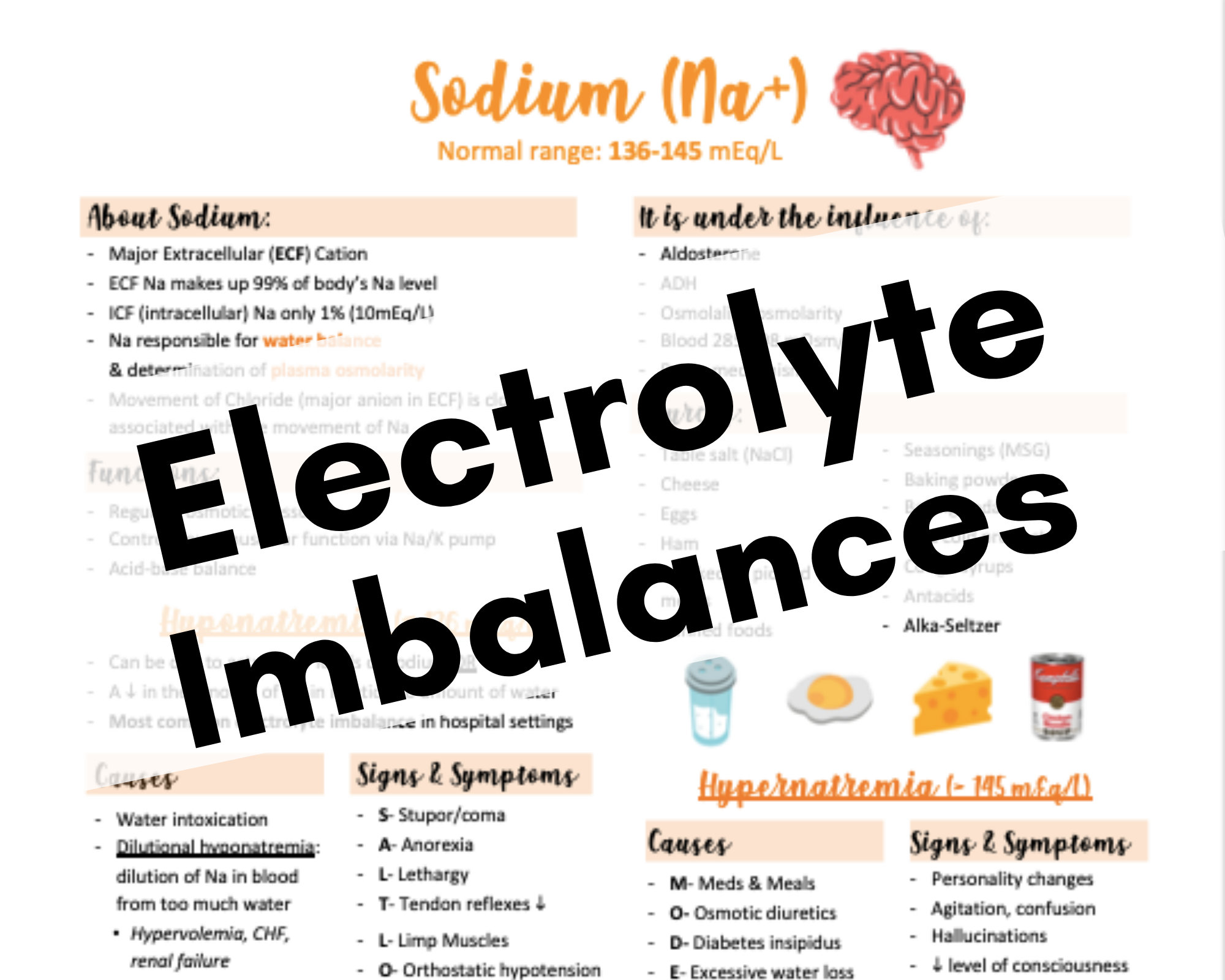 Electrolytes and Electrolyte Imbalances/ Nursing Study Notes/ Printable ...
