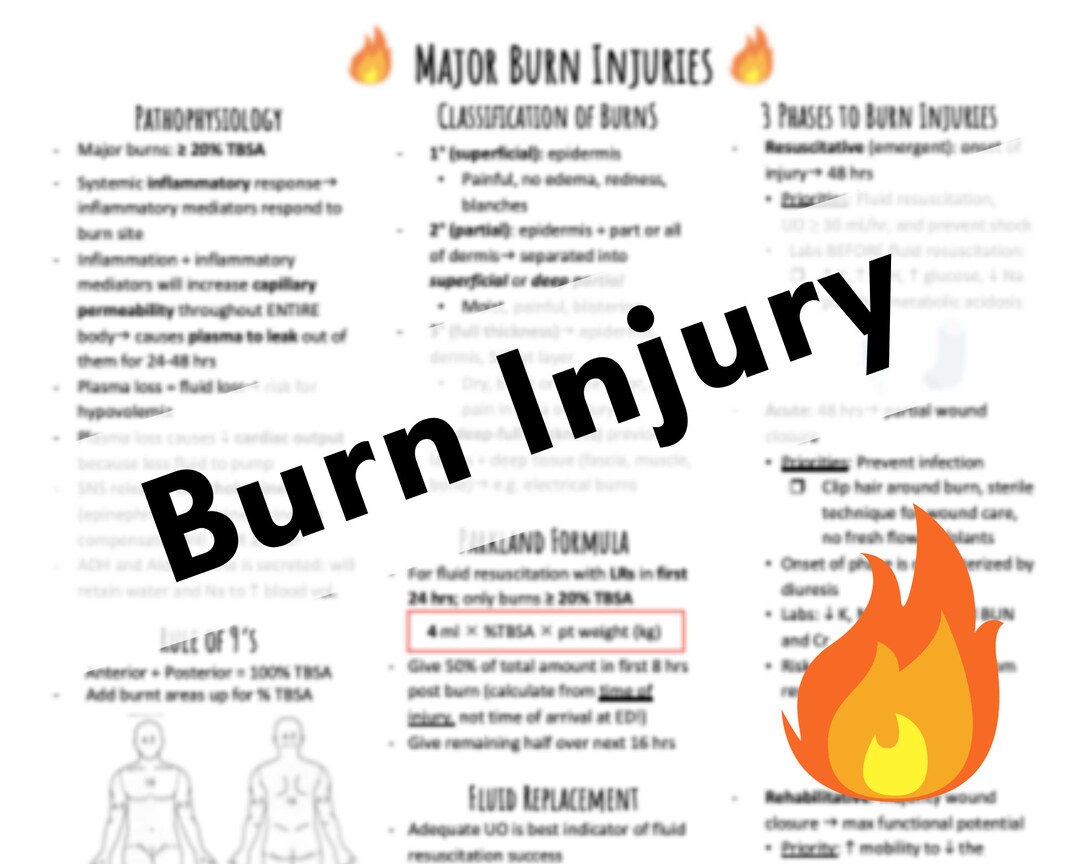 Burn Injury Nursing Study Guide and Concept Map/ Burn Injury Notes ...