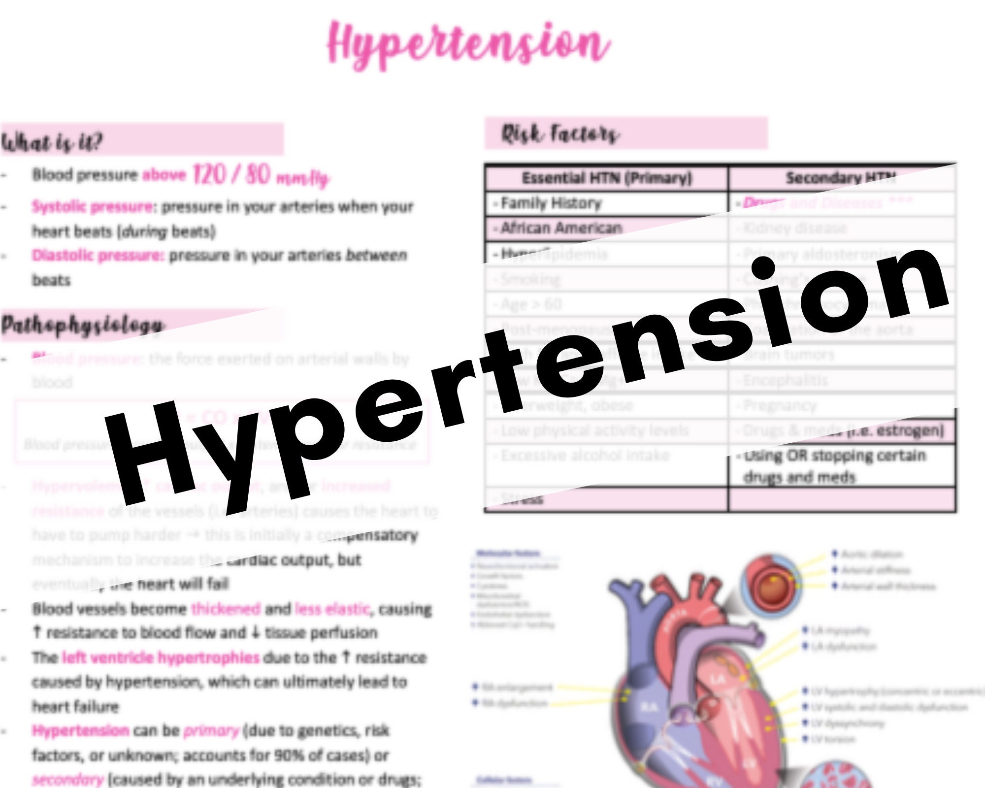 Hypertension Cardiac Nursing Concept Map and Review Nursing Notes ... Hypertension Cardiac Nursing Concept Map and Review Nursing Notes ...