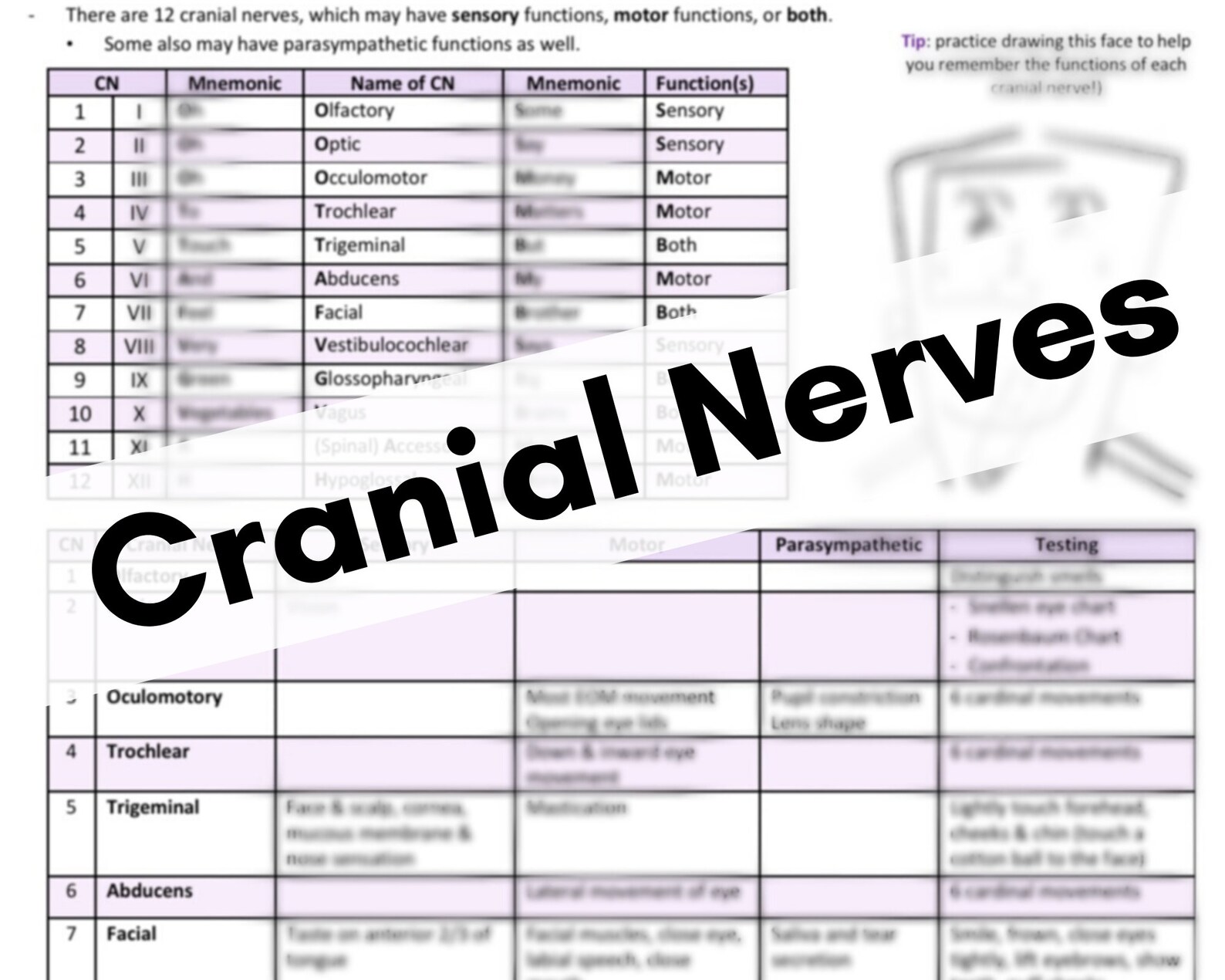 Cranial Nerves Nursing Cheat Sheet/ Nerve, Functions, and Tests Used ...