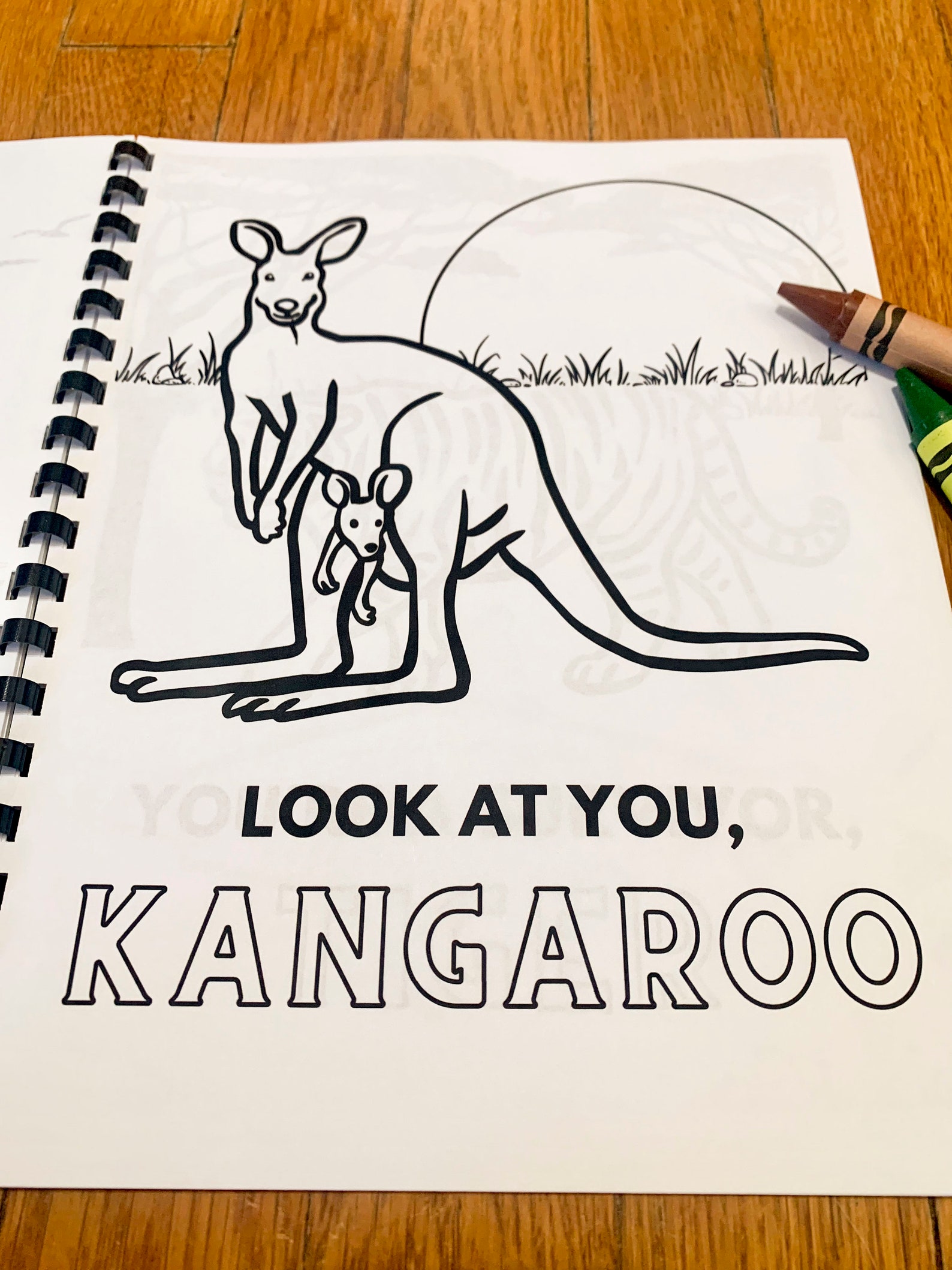 A Day at the Zoo Downloadable, Printable Coloring Book - Etsy