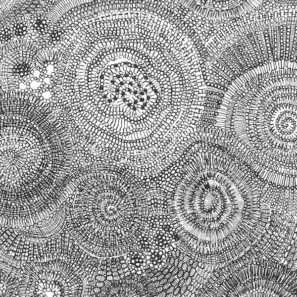 Pen and Ink - Etsy