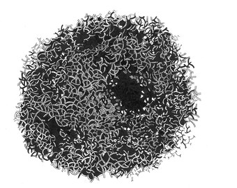 Original Art, Drawing, Pen and Ink, Black and White, Geometric, Organic ...