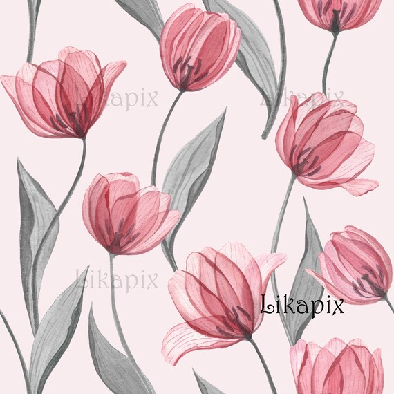 Tulip Background Paper