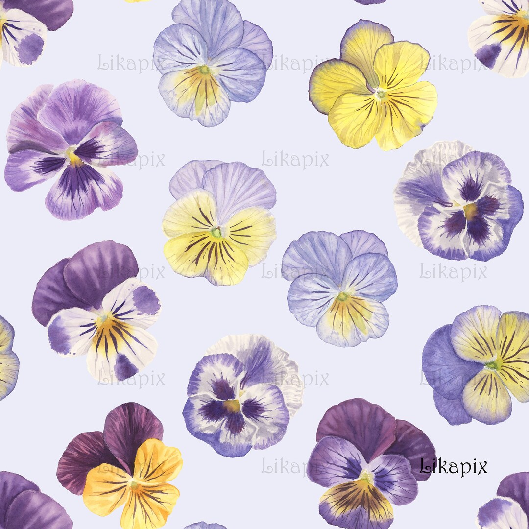 Pansy Flowers Watercolor Seamless Digital PNG Pattern. Spring Romantic ...