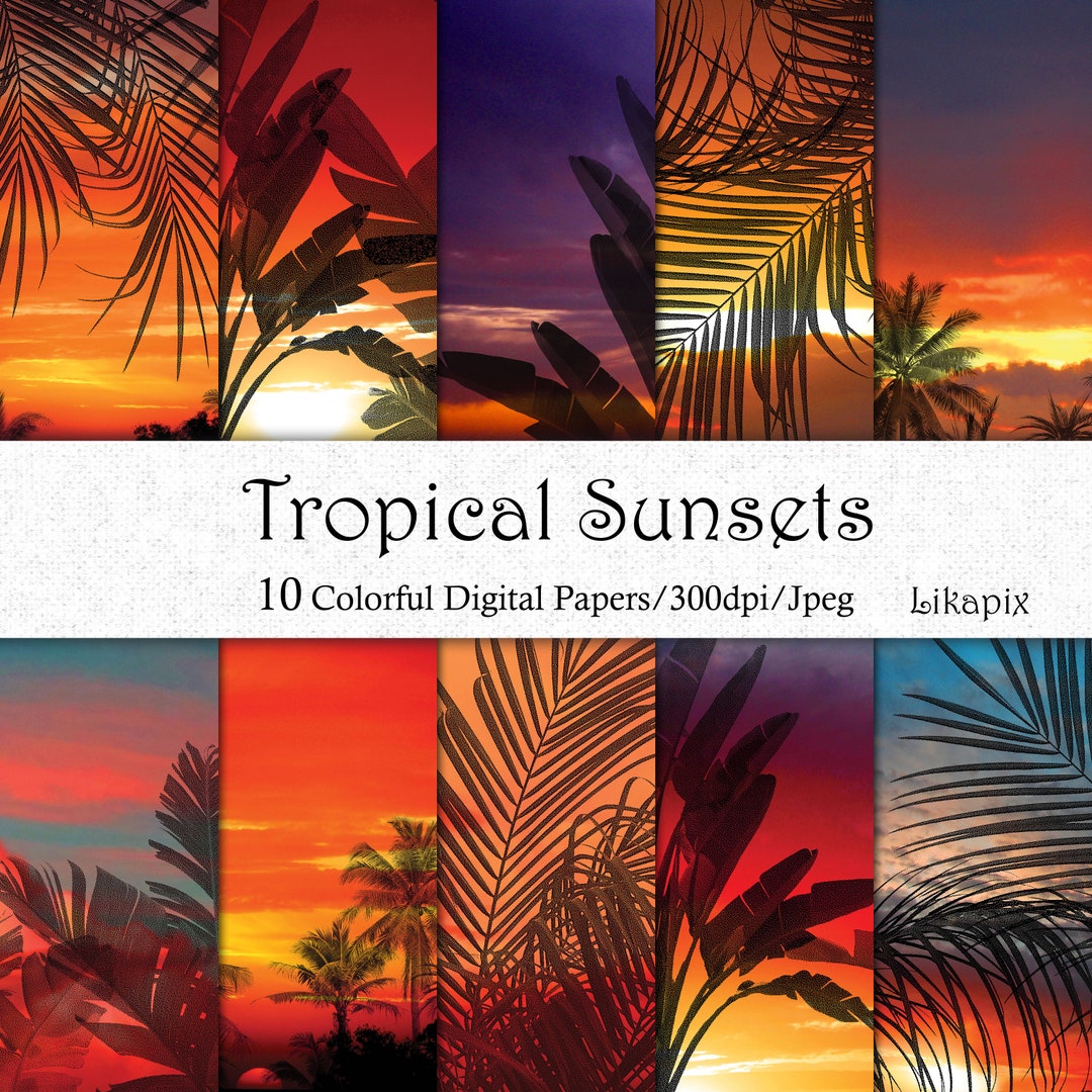 Tropical Sunsets Digital Papers, Summer Evening Sky View, Palm ...